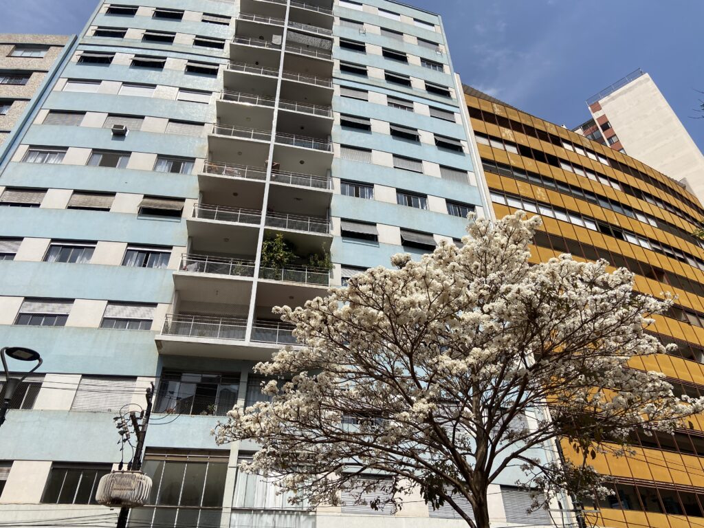 Confira o horário do comércio desta semana em Londrina – Acil